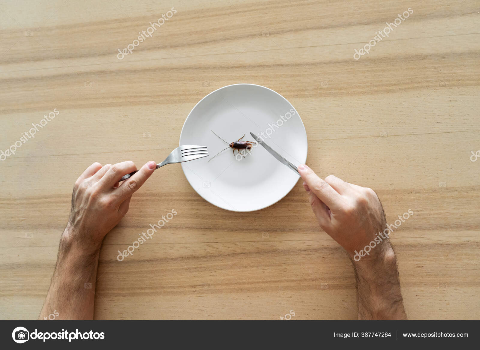 Top View Man Eating Cockroach Cockroach White Plate Kitchen Table ...