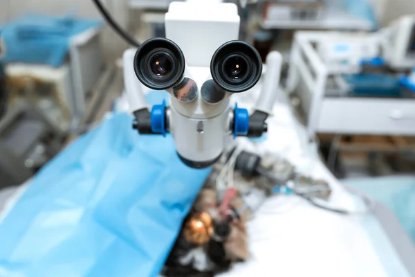 Surgical scope Stock Photos, Royalty Free Surgical scope Images ...