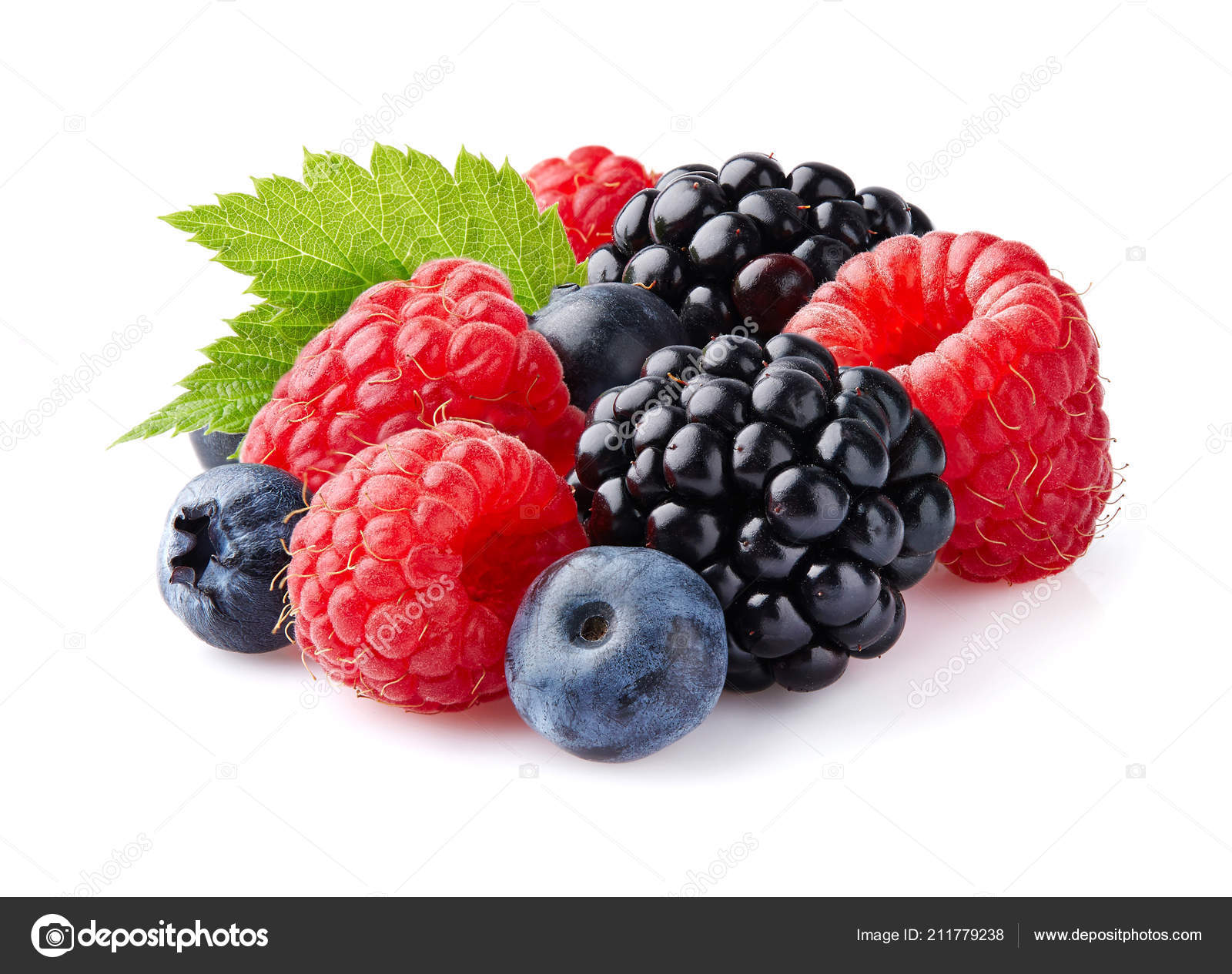 Wild Berry Leaf White Background — Stock Photo © Dionisvera #211779238