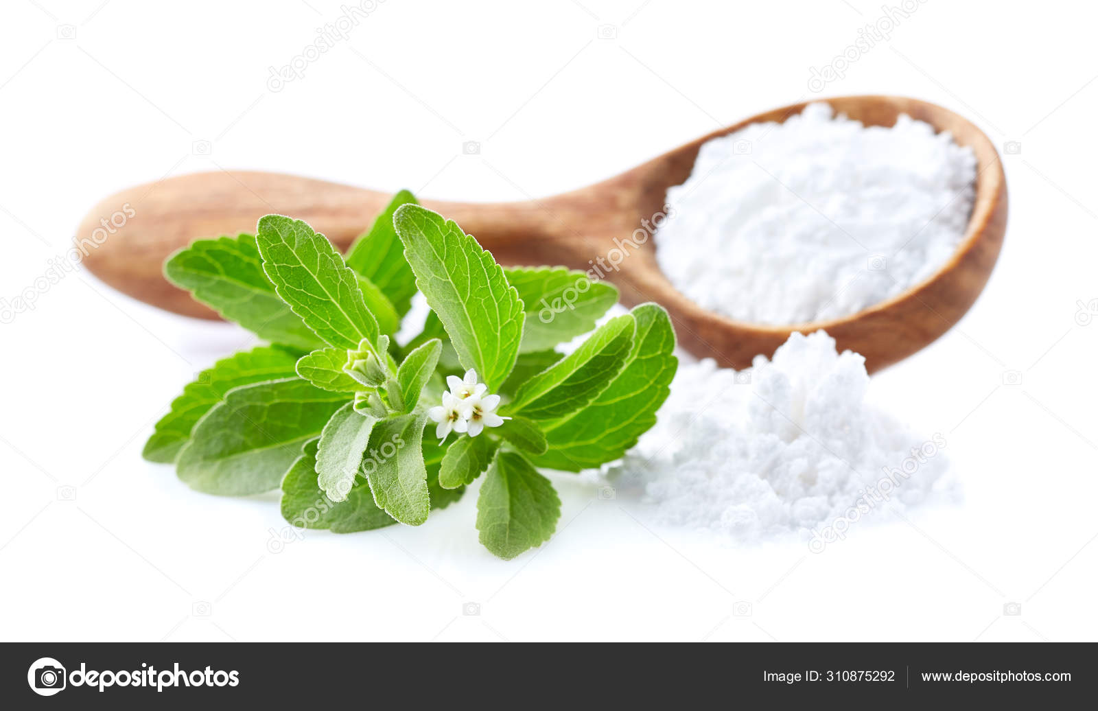 Stevia plant with stevia powder on white background Stock Photo by ...