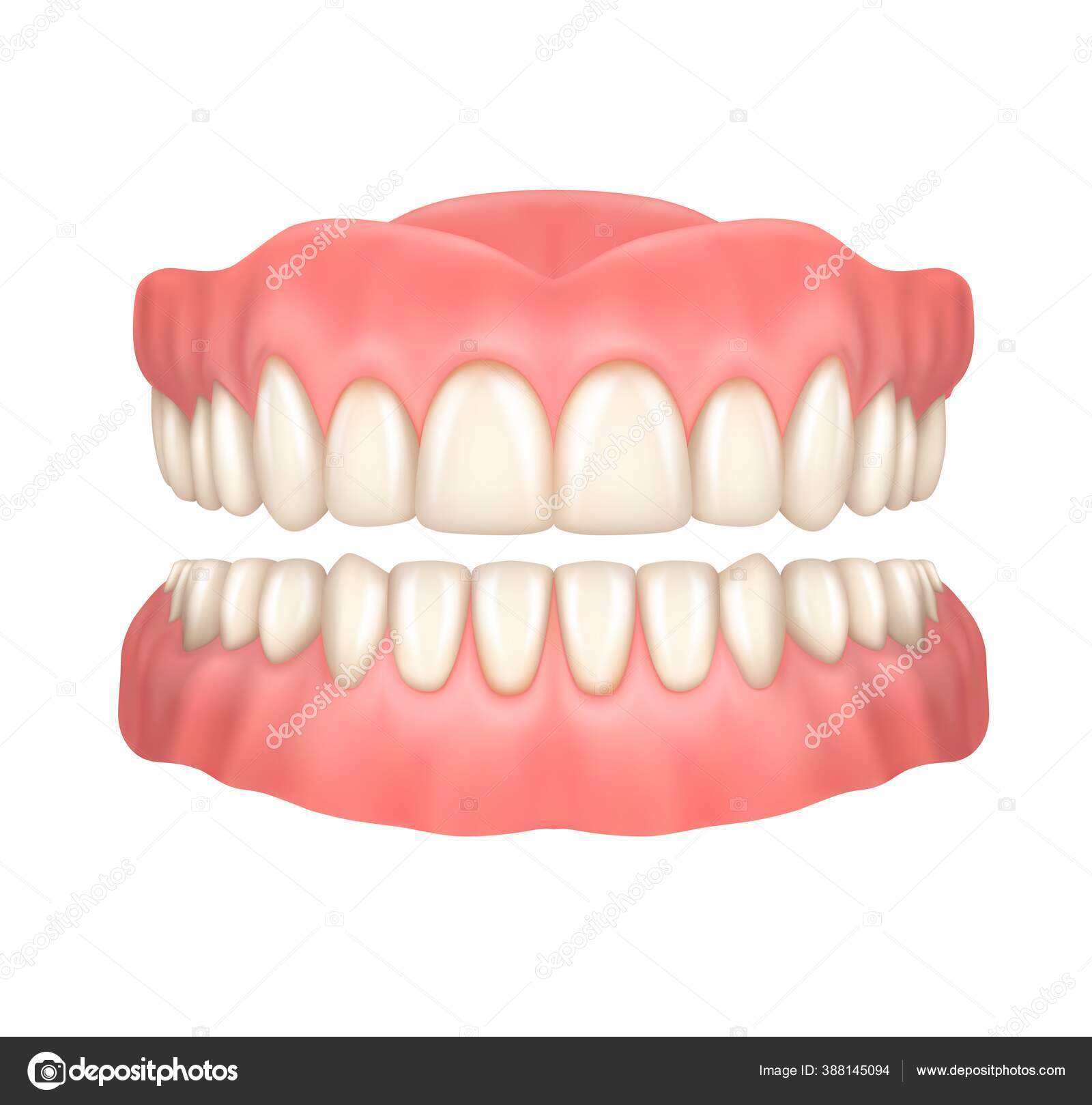 Dentures False Teeth Realistic Vector Design Orthodontics Aesthetic ...