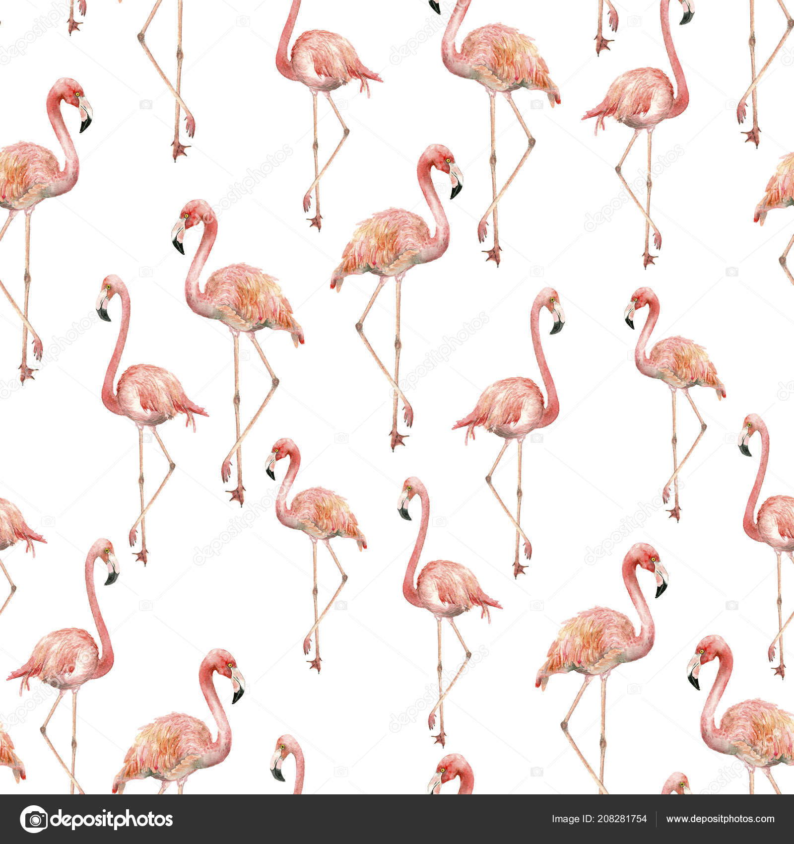 Watercolor flamingo pattern — Stock Photo © ivofet #208281754