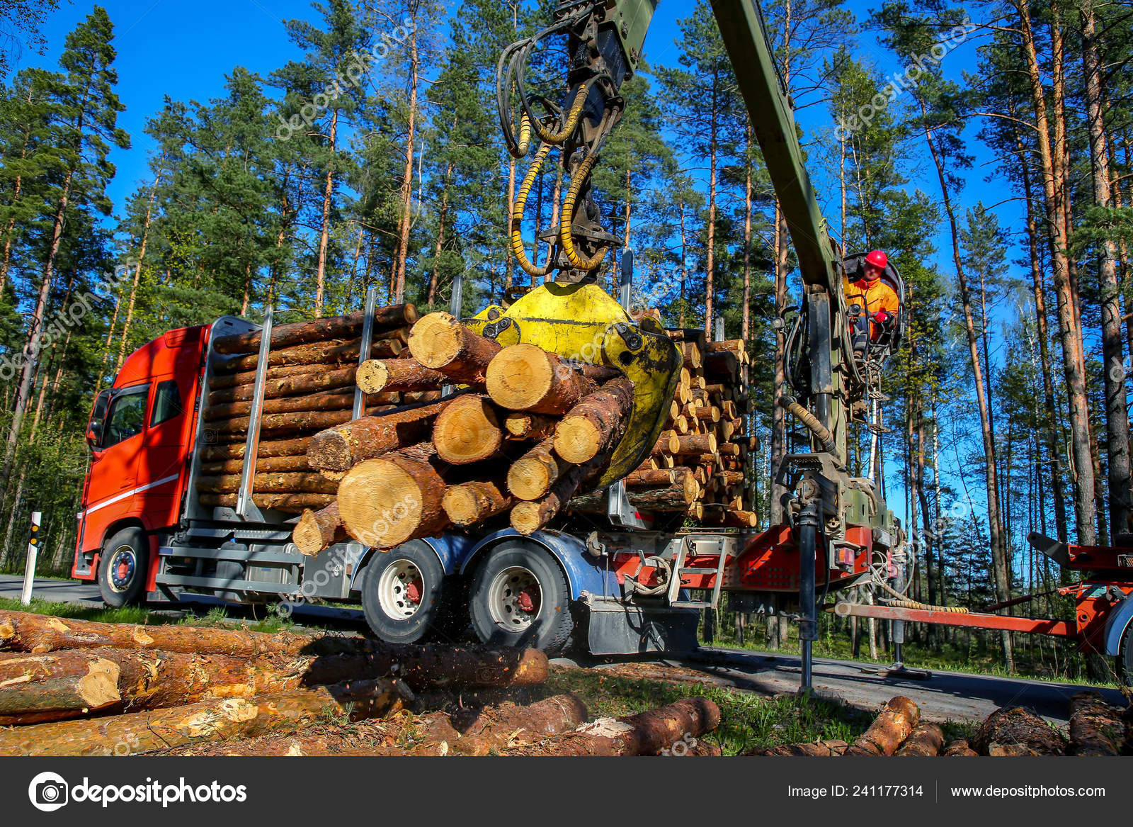 Crane Forest Loading Logs Truck Crane Operator Loading Logs Truck Stock ...