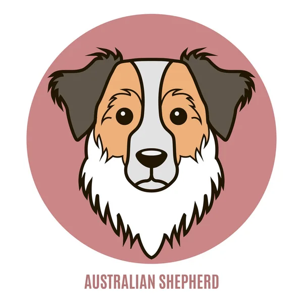 454 Australian shepherd dog Vector Images | Depositphotos