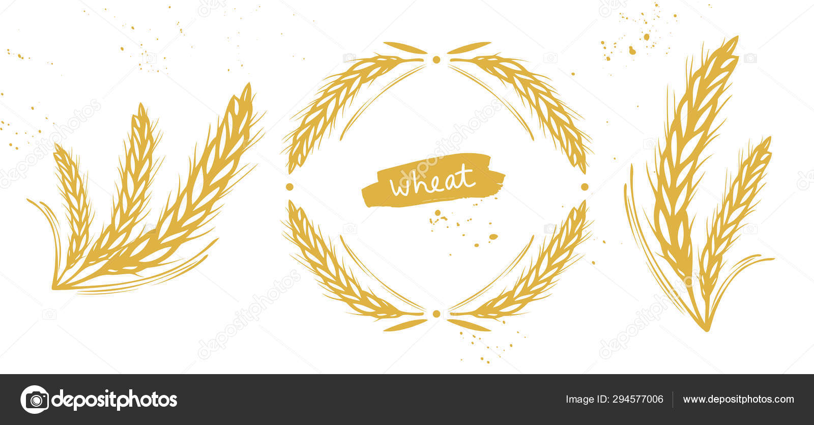 Wheat, barley, rye ears set Stock Vector Image by ©valent_ru #294577006