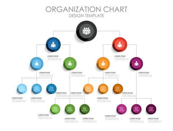 Business Hierarchy Organogram Chart Infographics Corporate ...