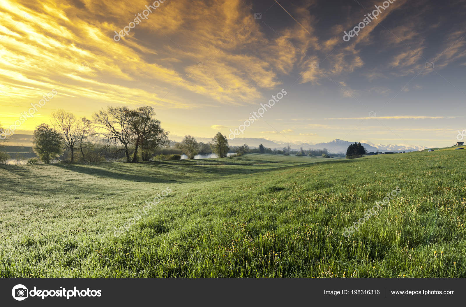 Pasture Background Snow Capped Alps Switzerland Sunset Swiiss Landscape ...