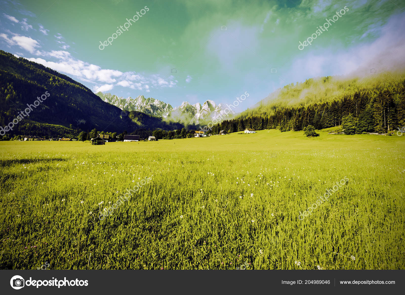 Austrian Landscape Forests Meadows Background Snow Capped Alps Early ...
