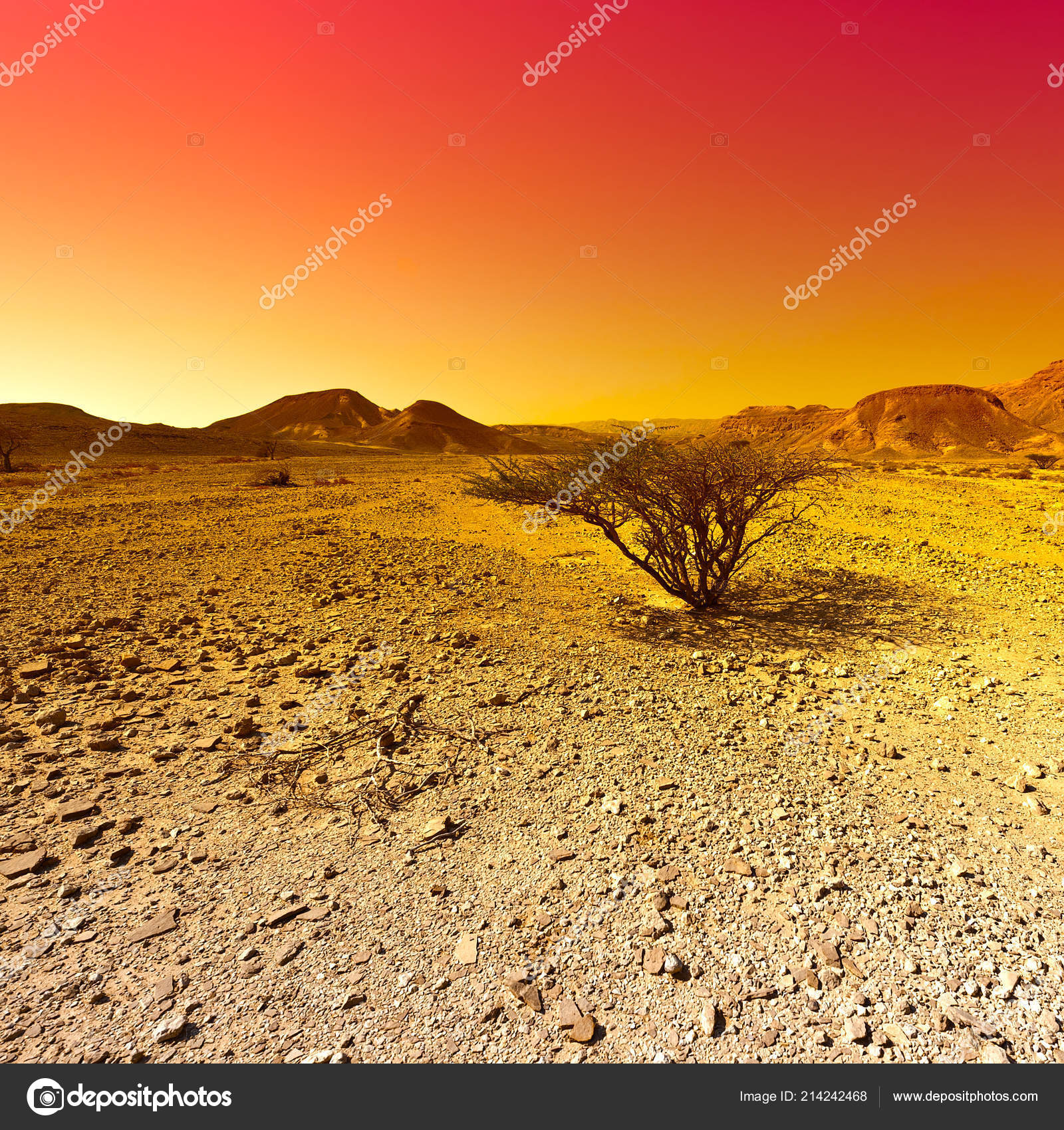 Negev Desert Sunset