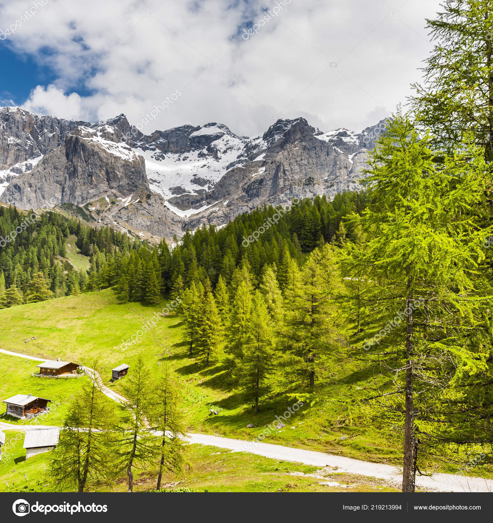 Austrian Village Surrounded Forests Meadows Fields Pastures Background ...