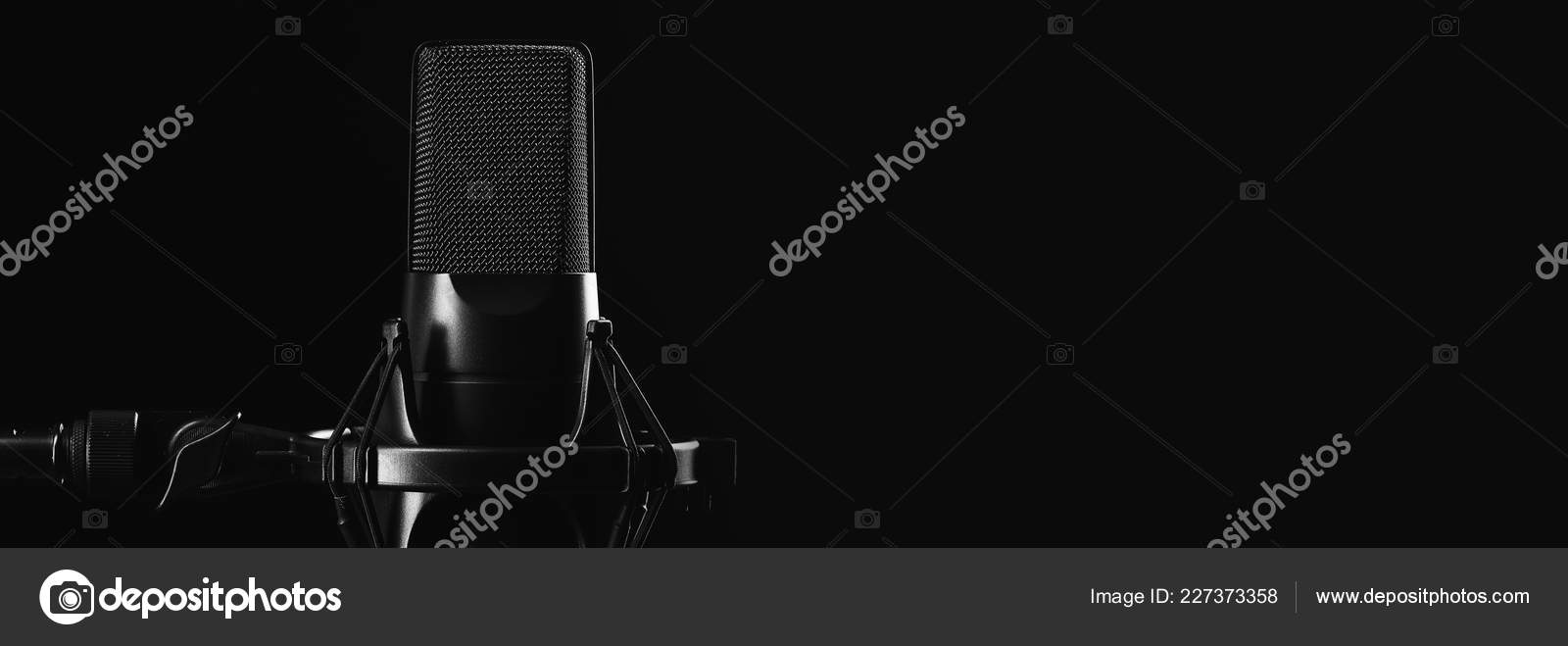 Professional Studio Microphone Isolated Black Background Copy Space ...