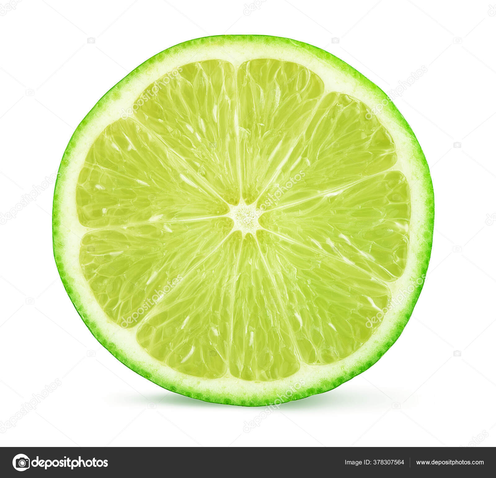 Lime Fruit Cross Section Cut Out Isolated White Background Clipping ...