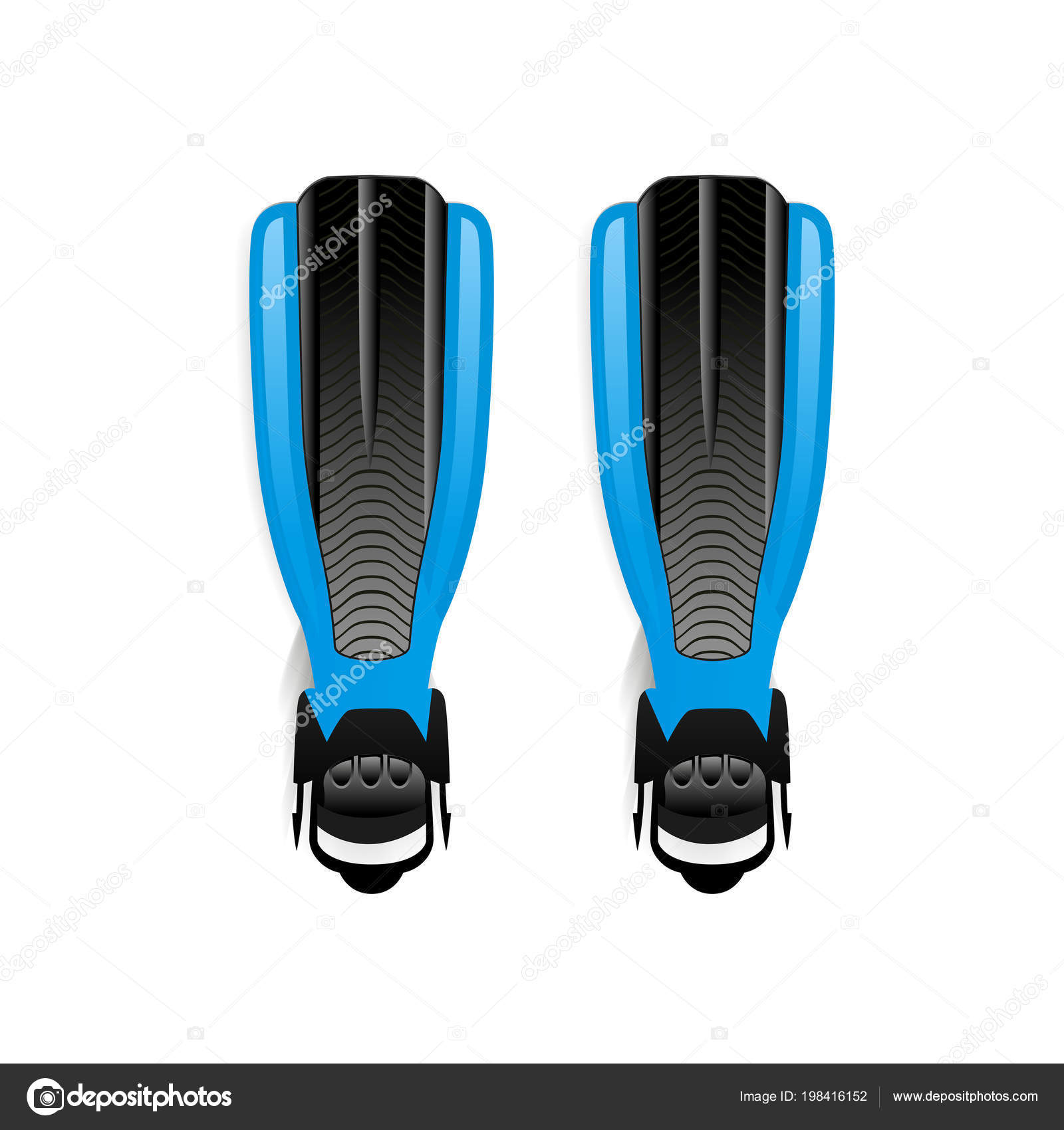 Flippers Vector Illustration Isolated White Background Stock Vector ...