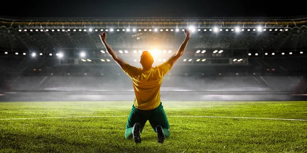 Soccer win Stock Photos, Royalty Free Soccer win Images | Depositphotos
