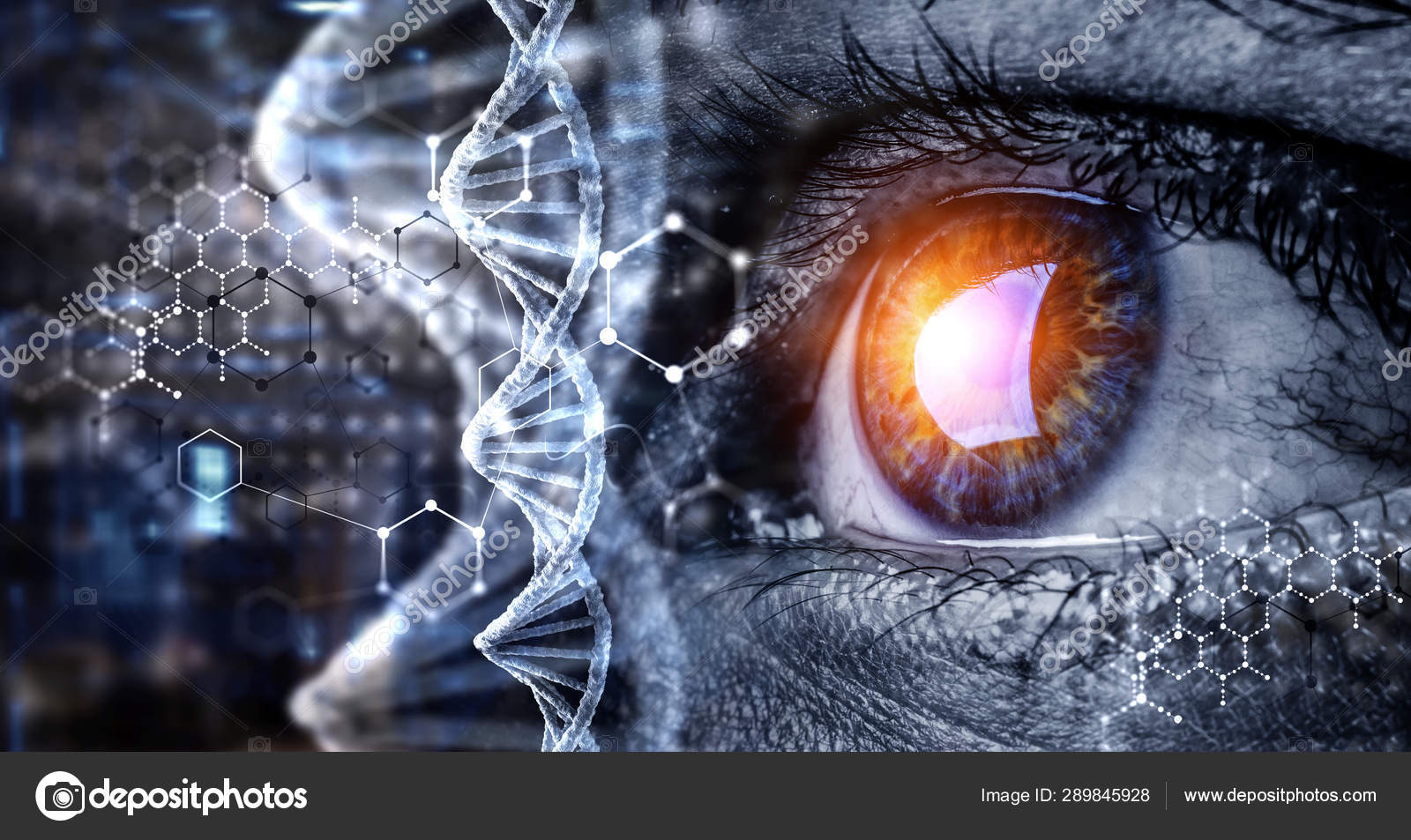 Person identification and scanning Stock Photo by ©SergeyNivens 289845928