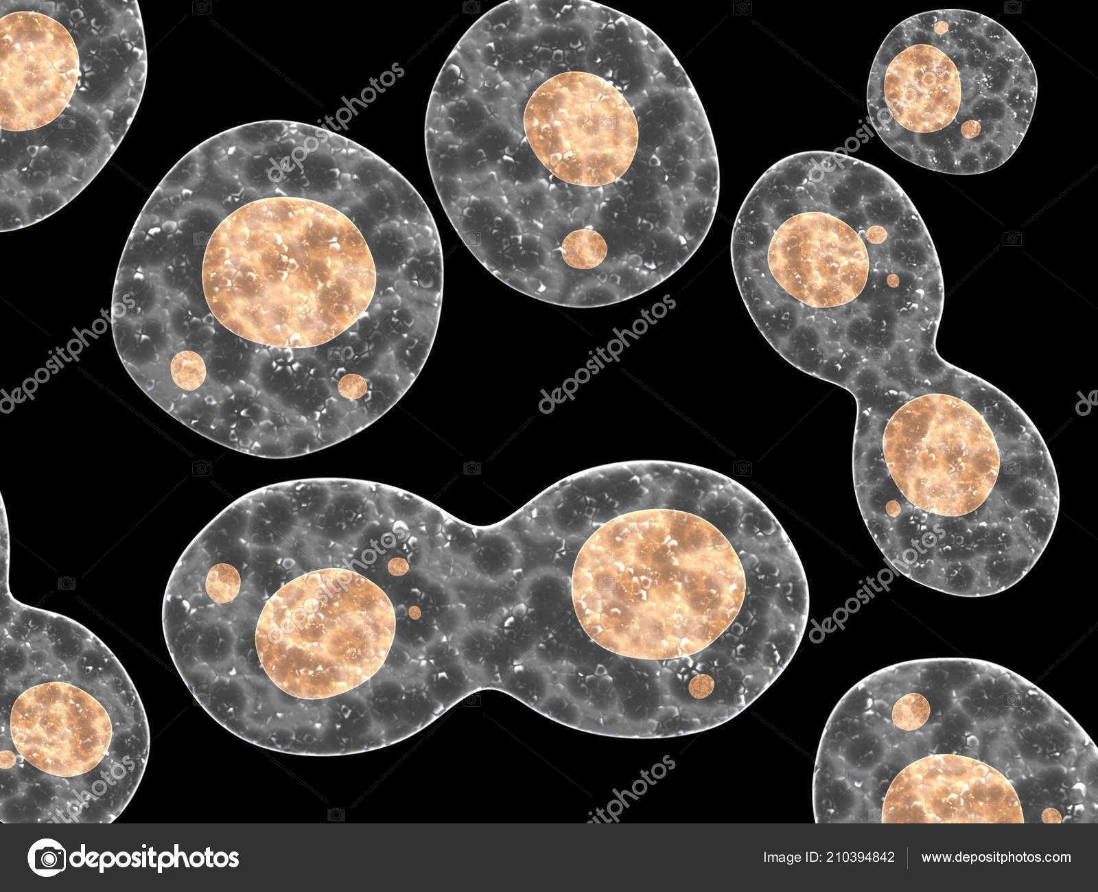 Amoebas Isolated Black Background Render Stock Photo by ©frenta 210394842