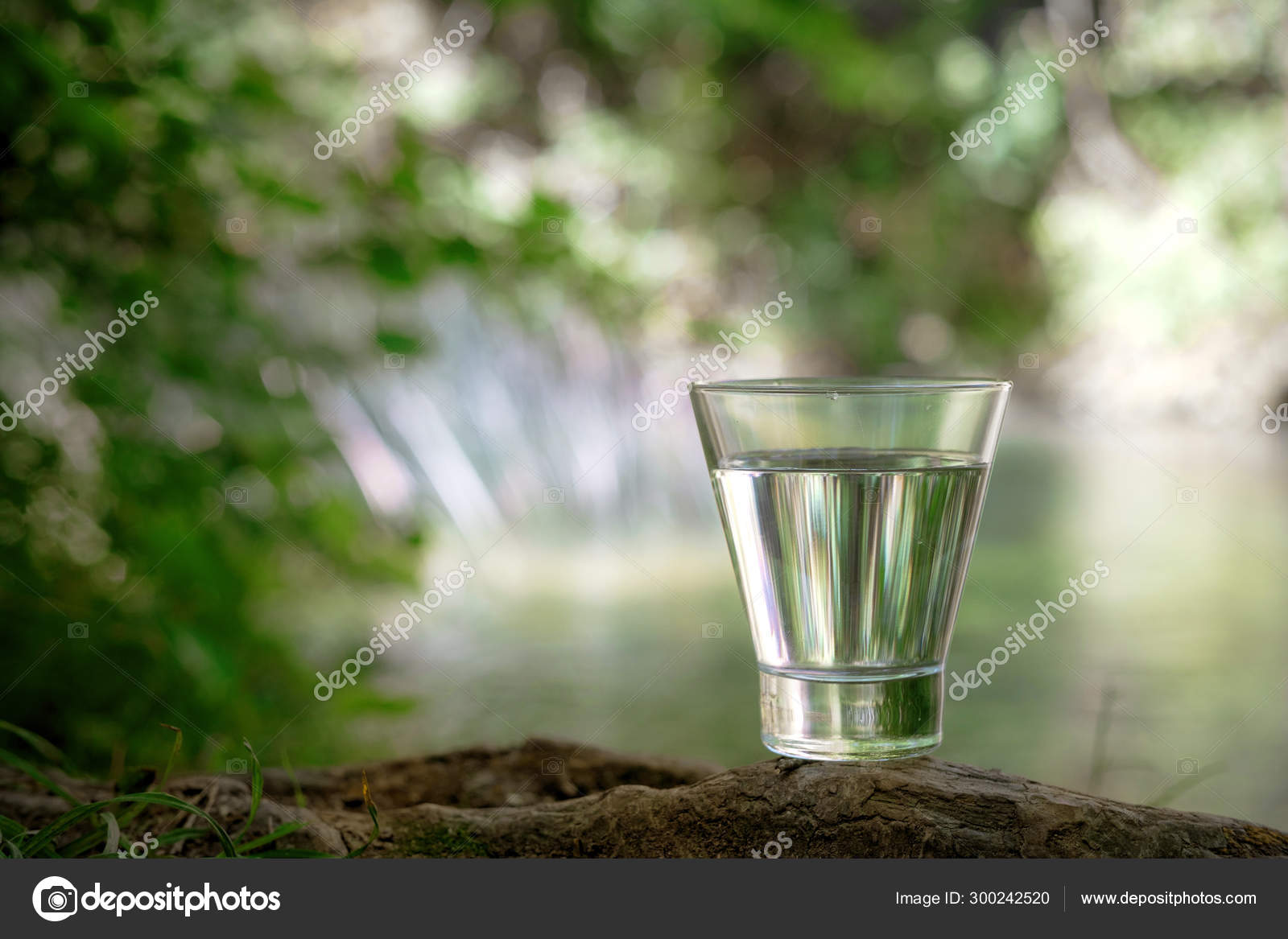 A glass of clean water, on the nature. Concept of a healthy life Stock ...