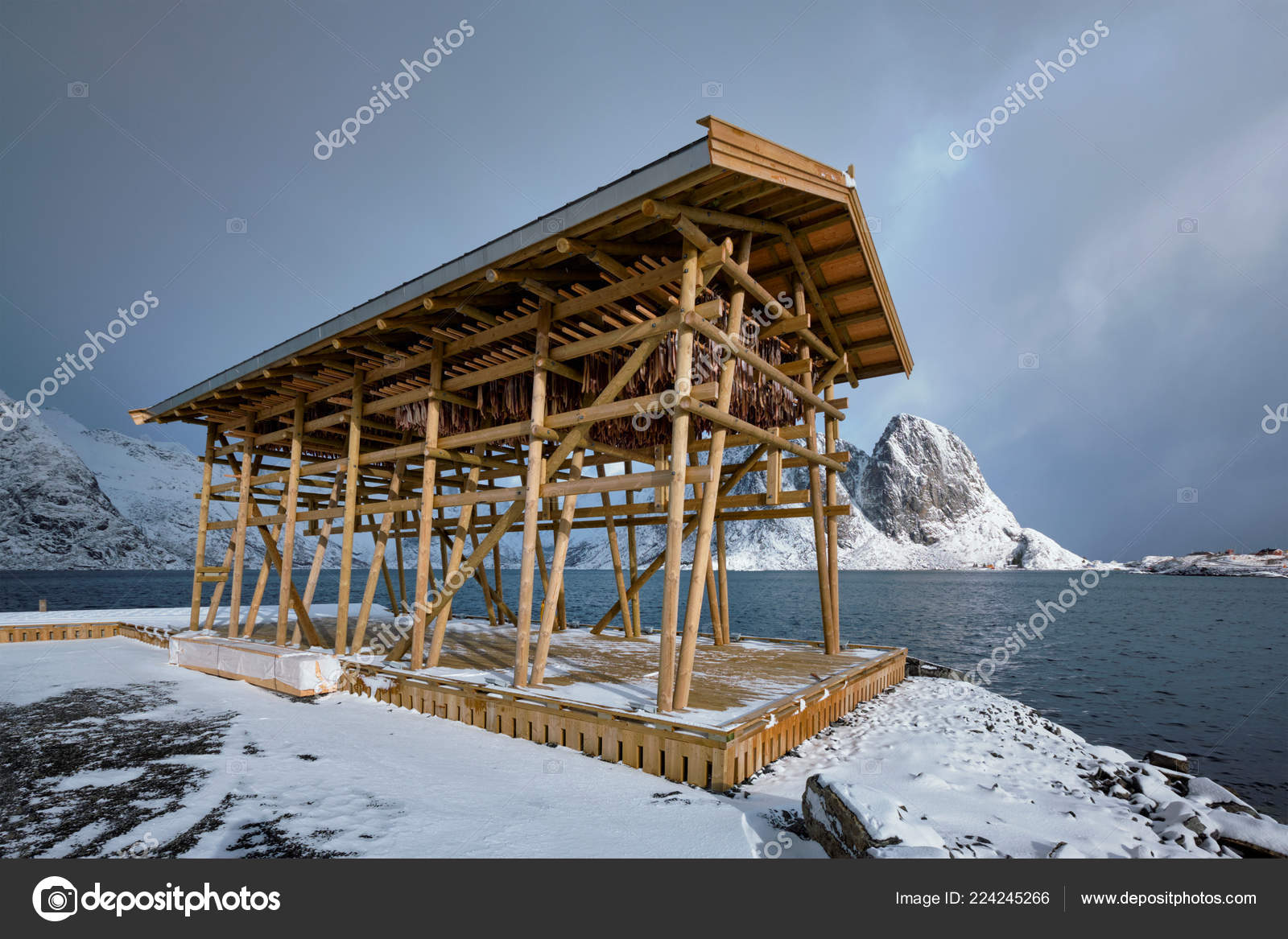 Drying flakes for stockfish cod fish in winter. Lofoten islands, Stock ...