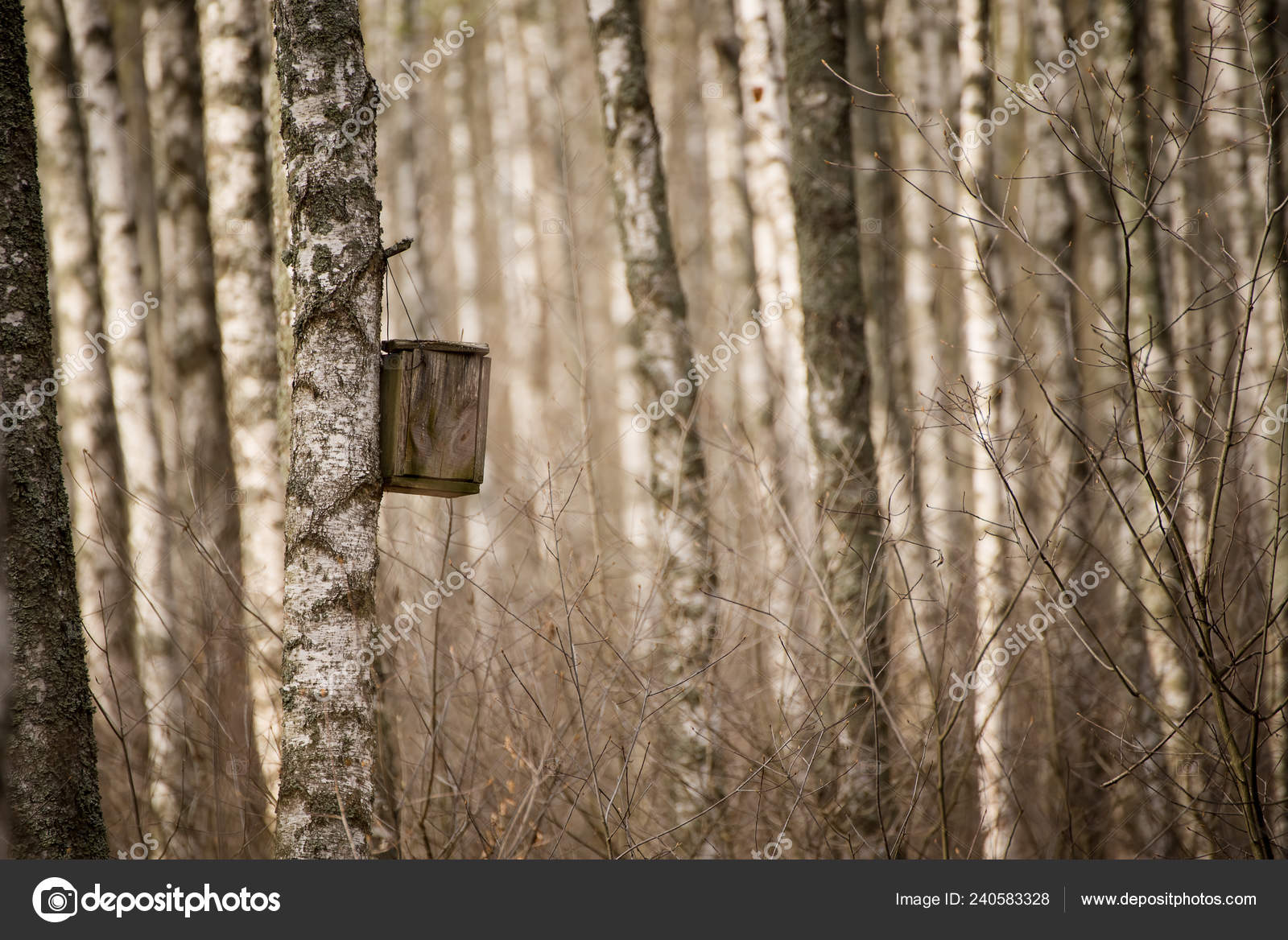 Nesting box in the forest Stock Photo by ©Roxana 240583328