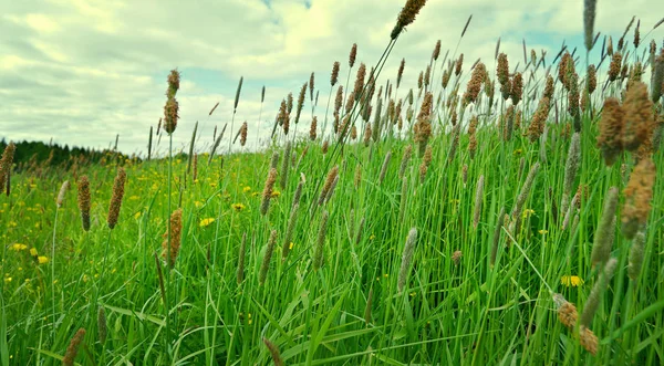 Timoc region Pictures, Timoc region Stock Photos & Images | Depositphotos®