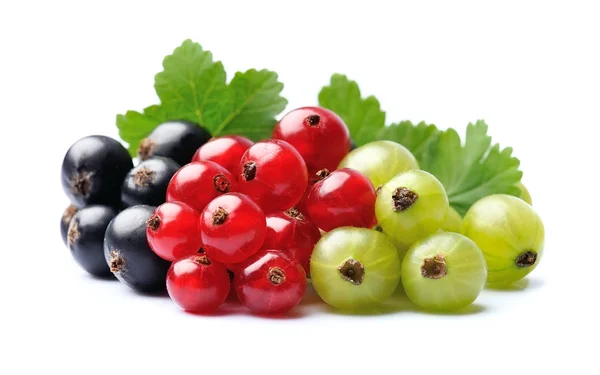 Buah rosella fotos de stock, imágenes de Buah rosella sin royalties ...