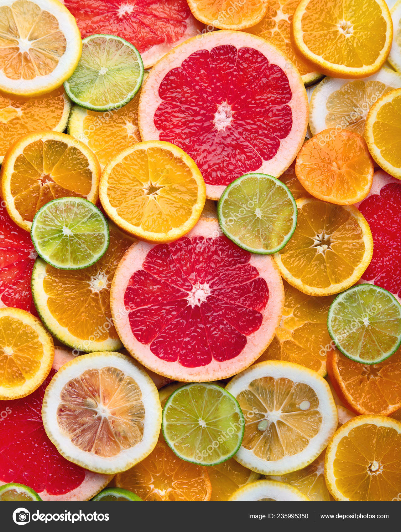 Citrus Fruit Slices