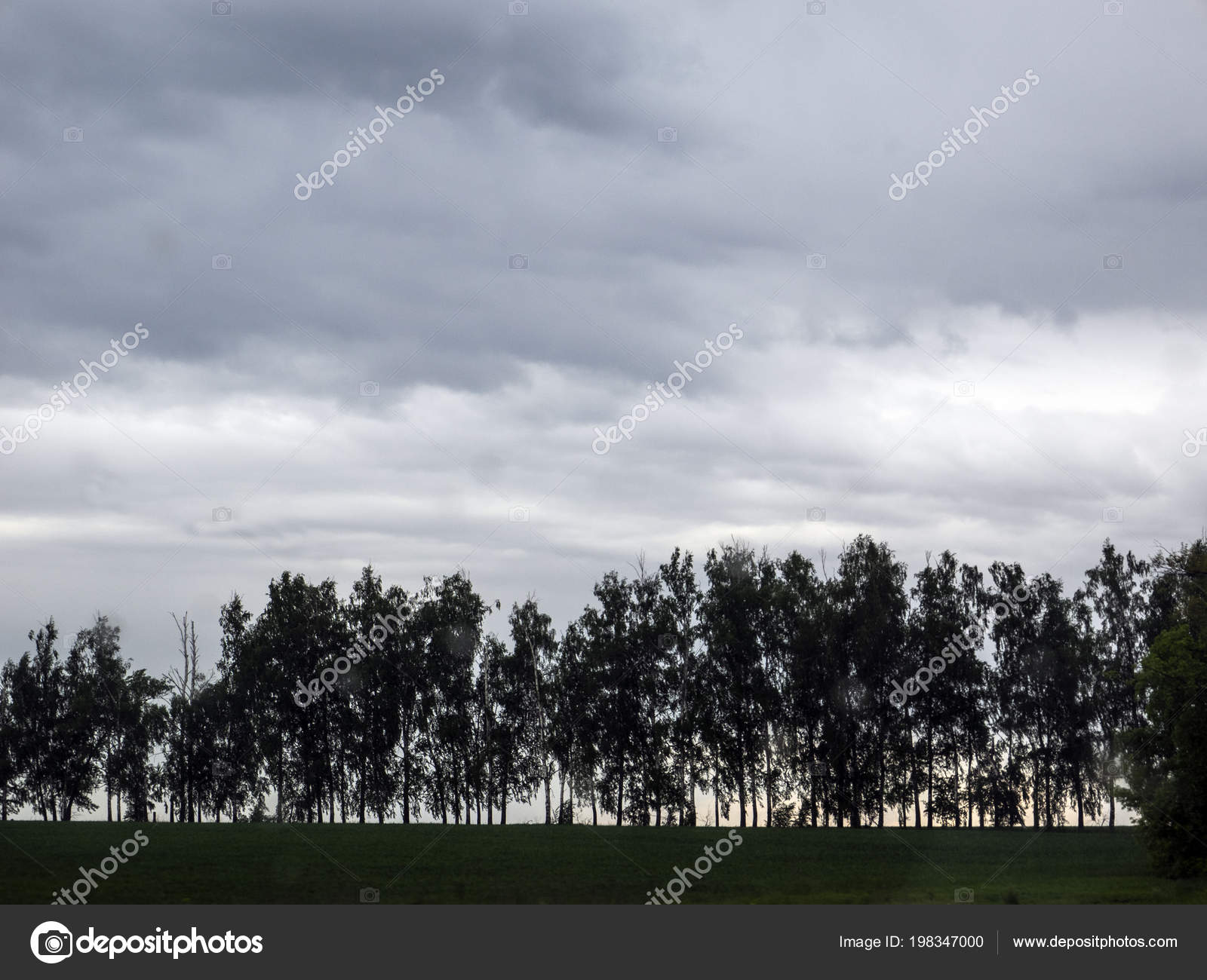 Group Trees Background Evening Sky Stock Photo by ©igorgolovniov 198347000