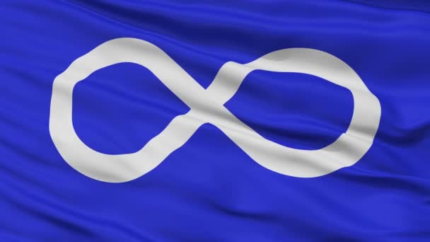 Metis Blue Indian Flag Closeup Seamless Loop — Stock Video © fckncg ...