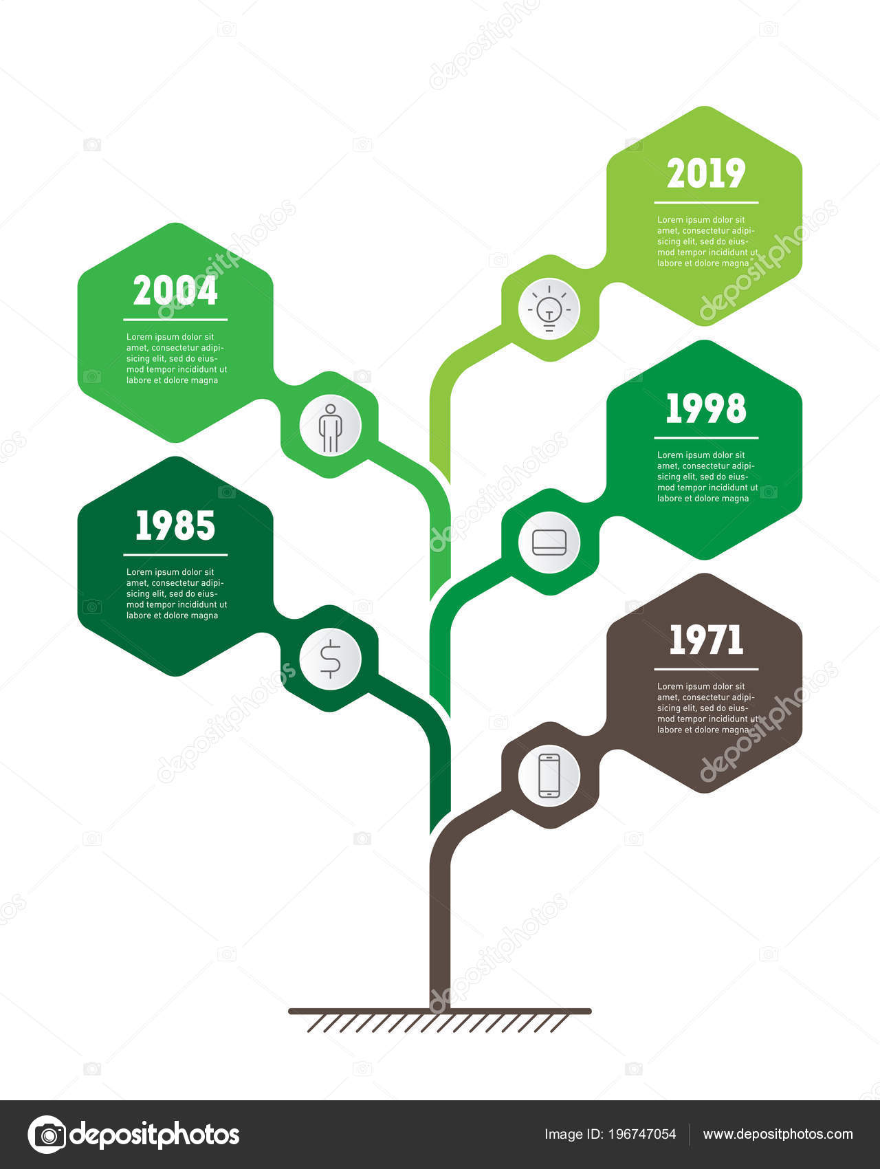 Grüne Timeline Infografiken Form Eines Baumes Mit Sechseckigen Formen ...