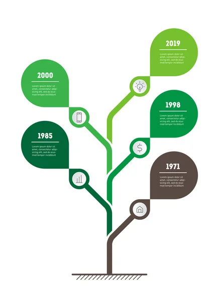 Timeline Infographics Green Colors Hexagonal Shapes Stock Vector Image ...