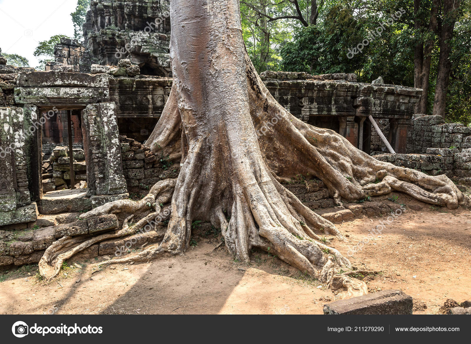 Banyan Tree Roots Banteay Kdei Temple Khmer Ancient Temple Complex ...