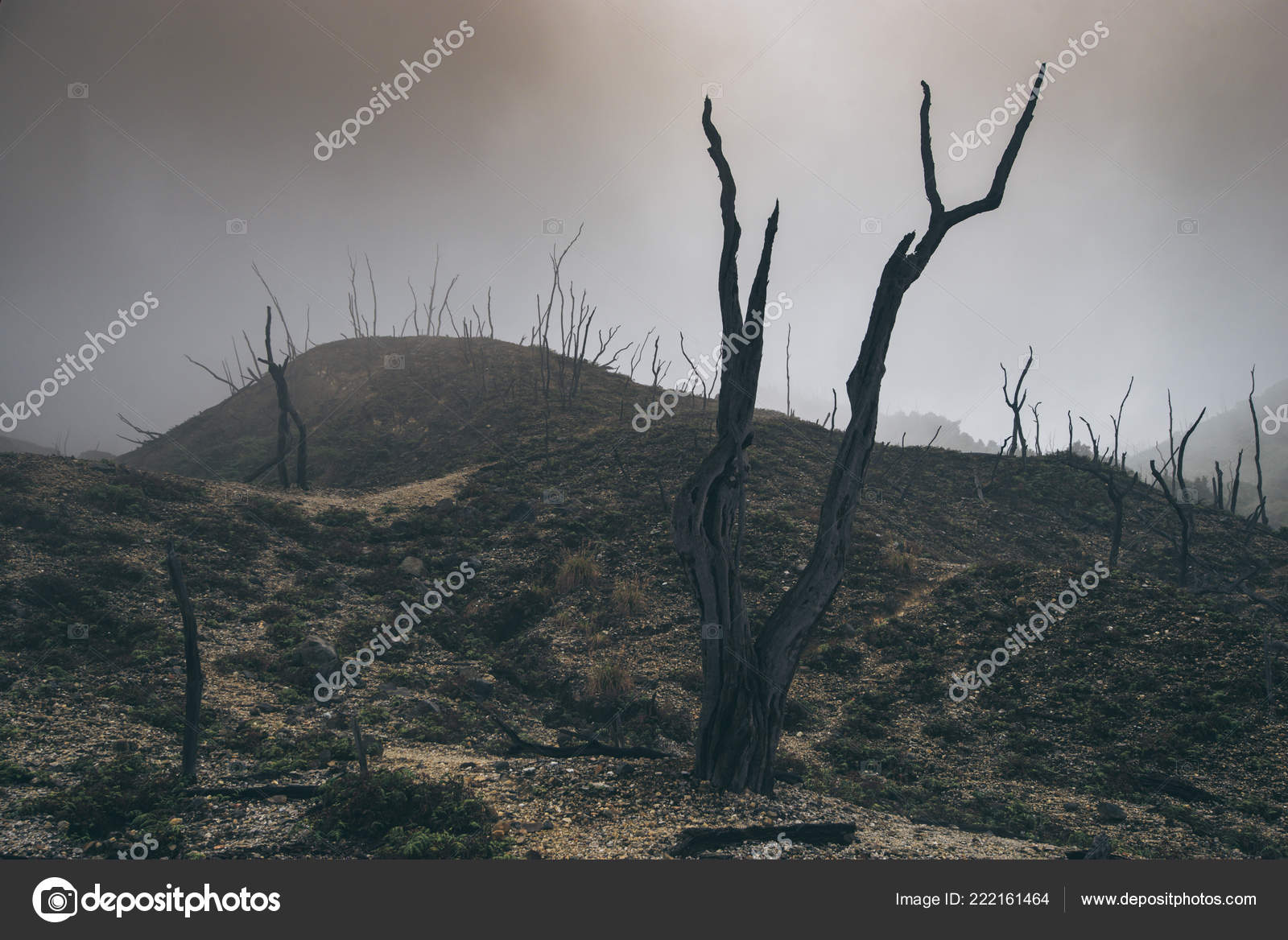 Volcanic Eruption Island Java Indonesia — Stock Photo © Yarygin #222161464