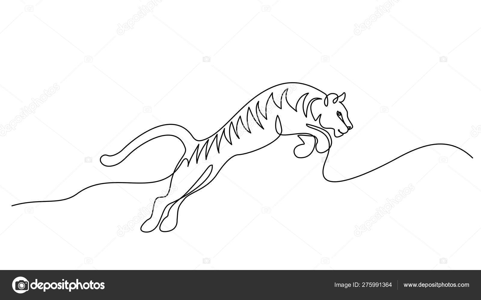 Tiger Leaping Drawing