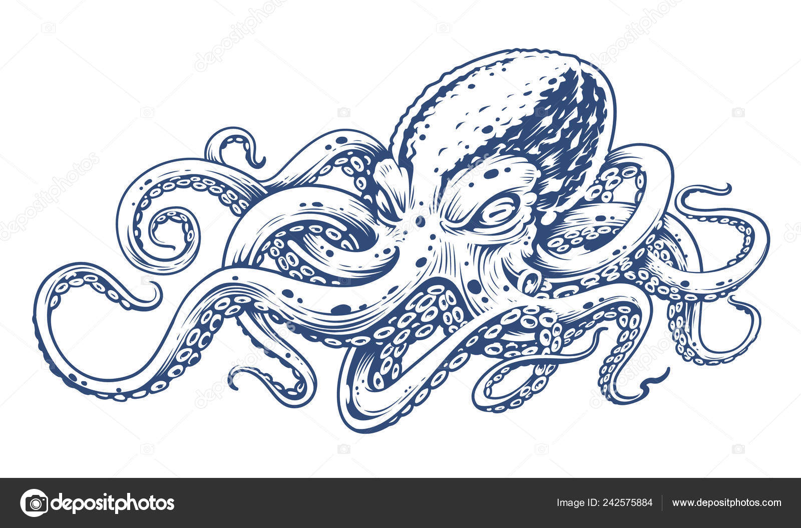 Octopus Vector Drawing