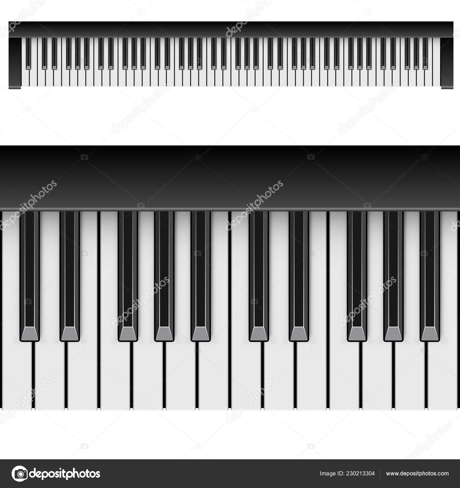 Classic Piano Horizontal Keys Isolated White Background Top View Vector ...