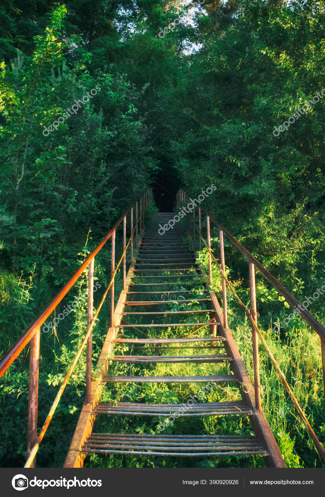 Old Metal Stairs Lifting Deep Forest Stock Photo by ©Olegkalina 390920926