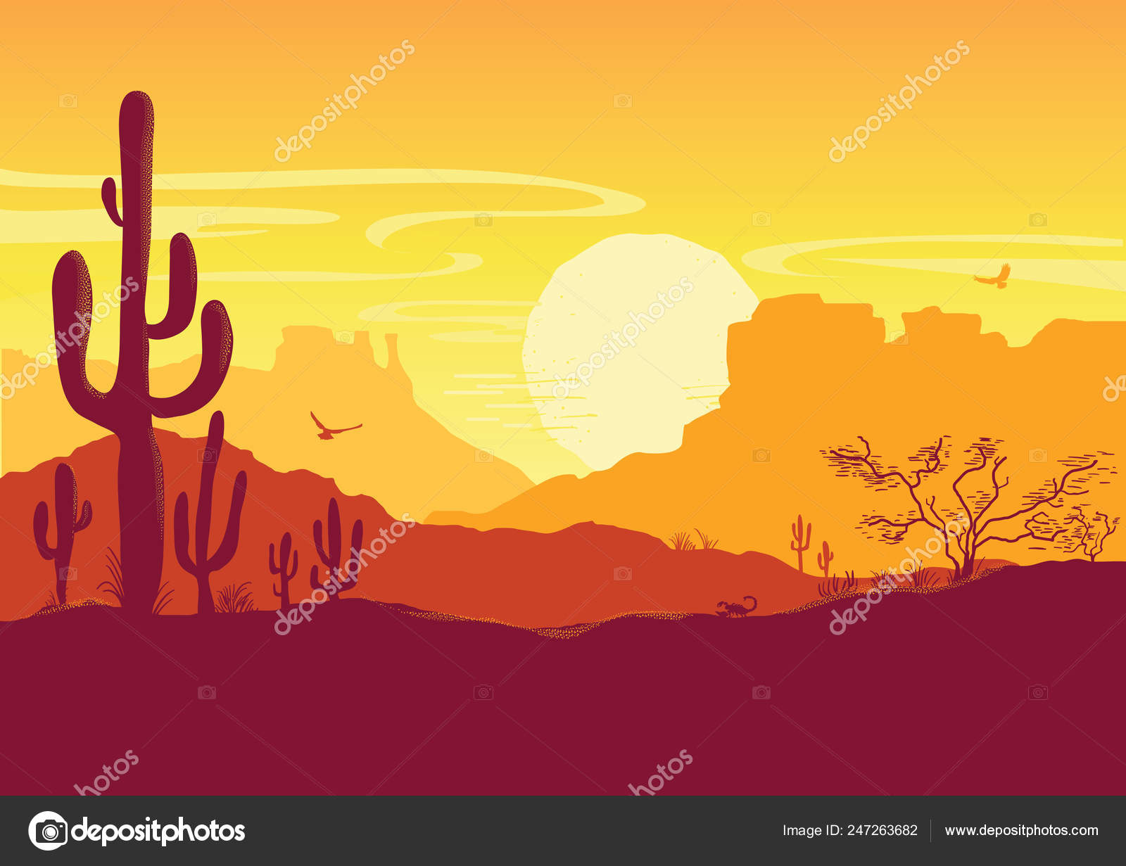 Texas Desert Landscape Sunset