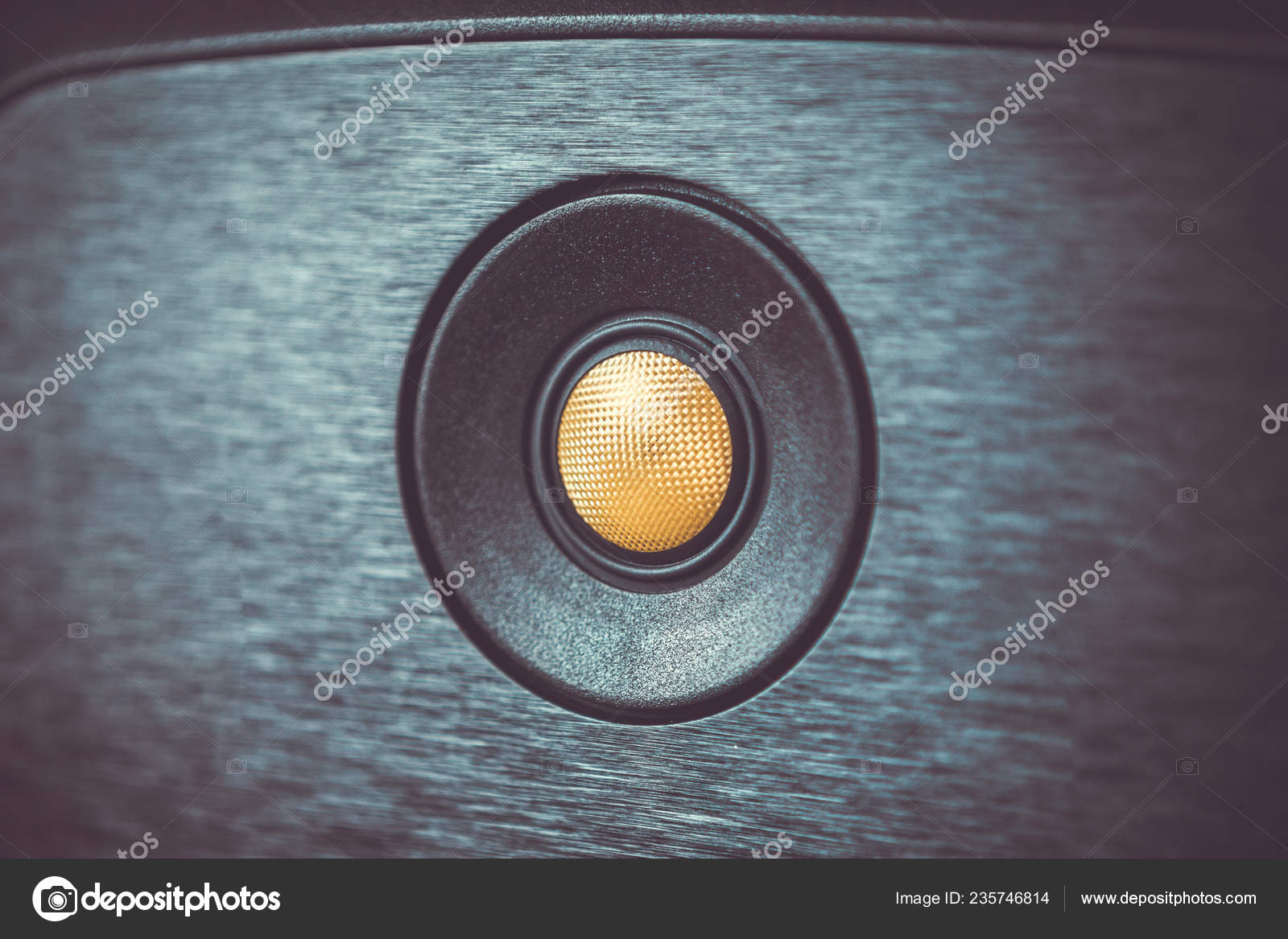 Professional Sound Recording Studio Equipment Vocal Monitor Speaker Box ...