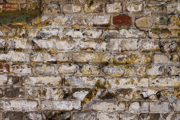 Textured wall of a building that could be used as a background for your ...