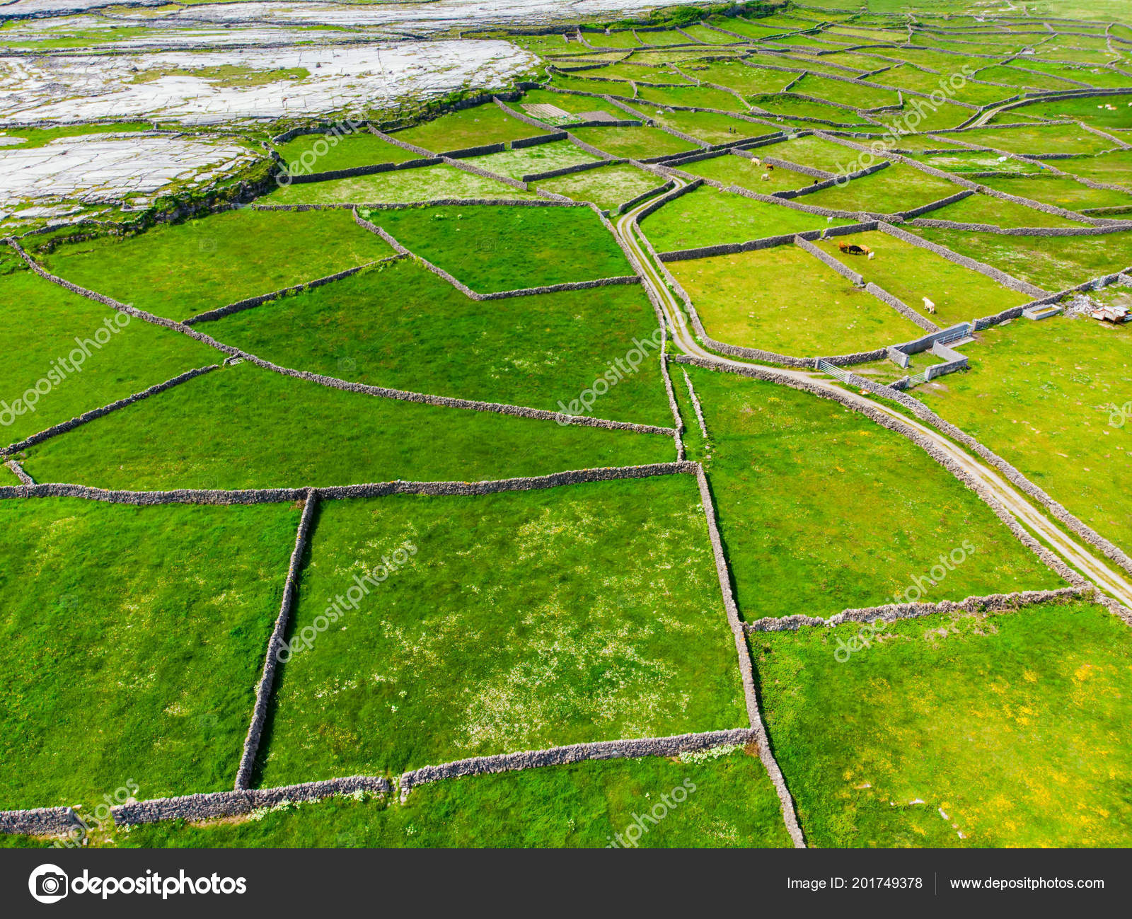 Aerial View Inishmore Island Galway Bay Ireland Stock Photo by ...