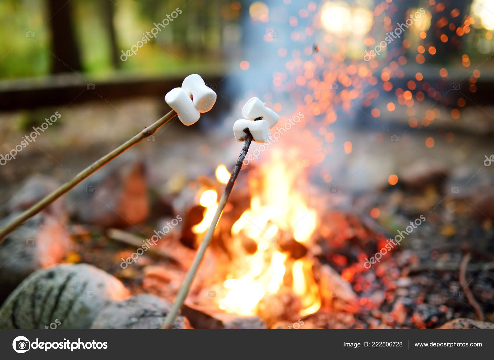 Kampvuur Marshmallows