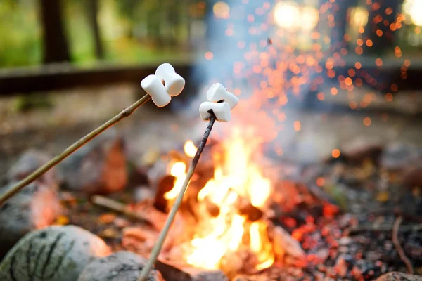 Roasting marshmallows on stick at bonfire. Having fun at camp fire ...