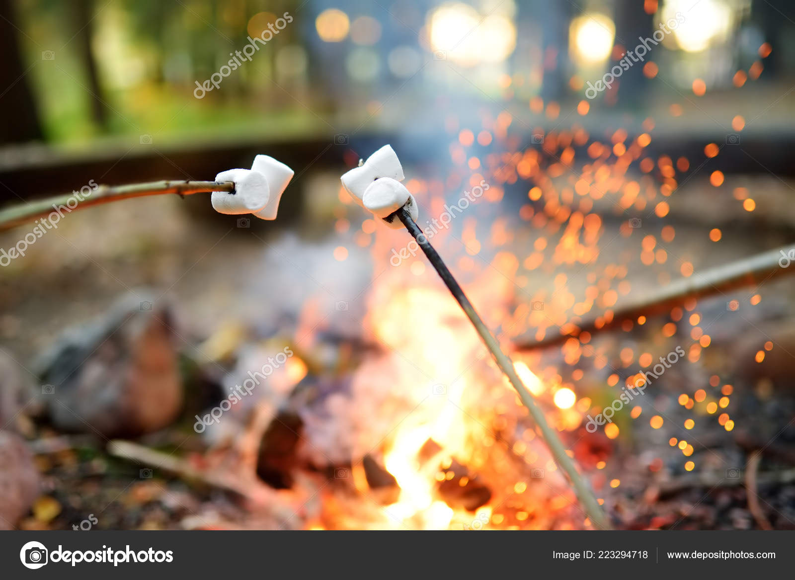 Marshmallow Fire Roaster