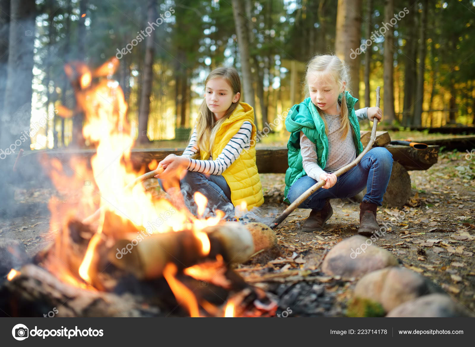 Cute Little Sisters Roasting Hot Dogs Sticks Bonfire Forest Stock Photo ...