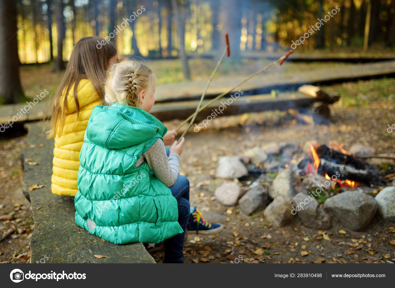 Cute young sisters roasting hotdogs on sticks at bonfire. Children ...