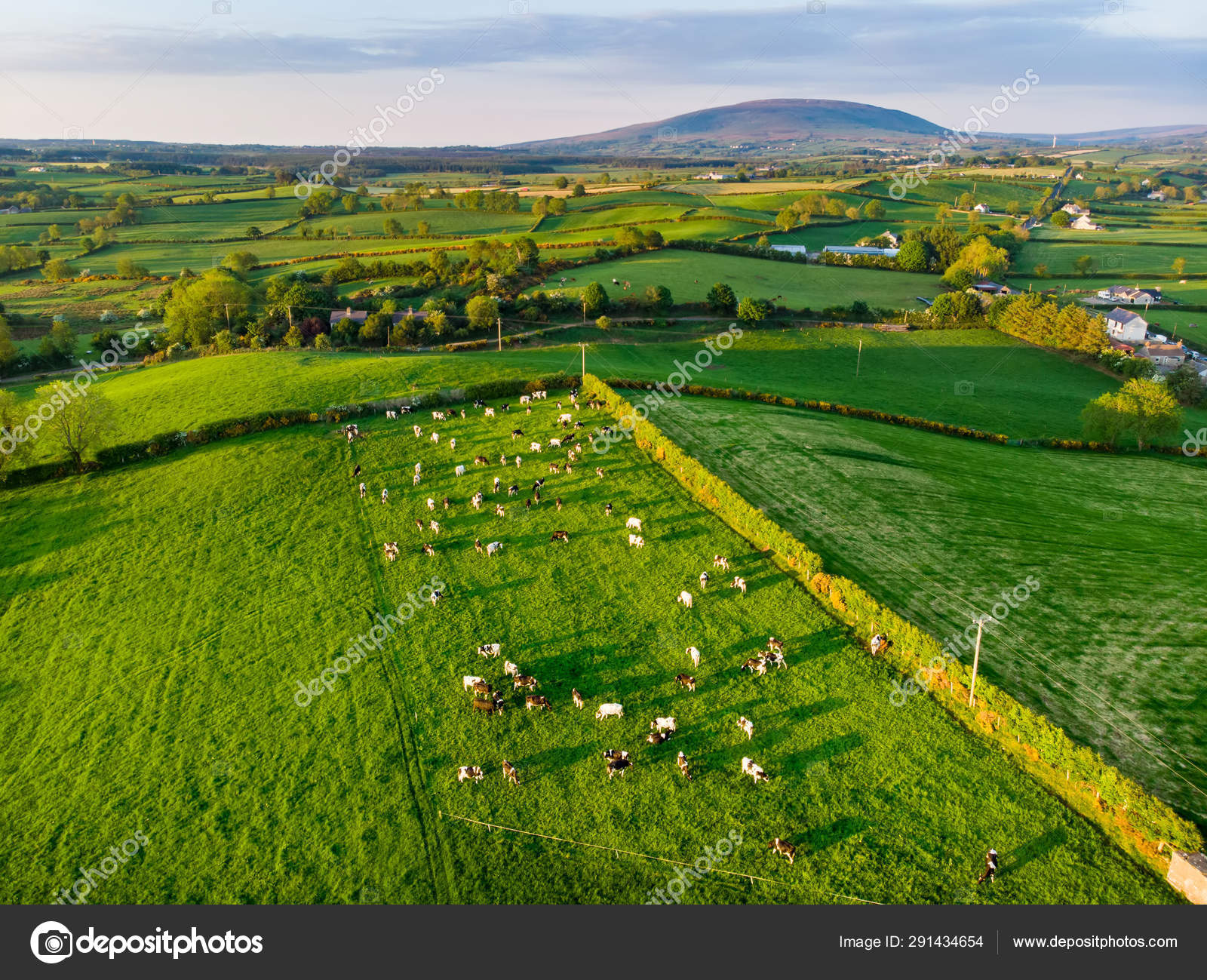 Aerial view of endless lush pastures and farmlands of Ireland ...