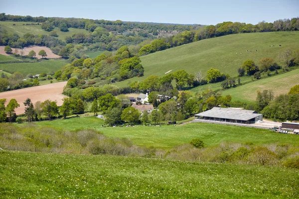 Devon scenery Stock Photos, Royalty Free Devon scenery Images ...