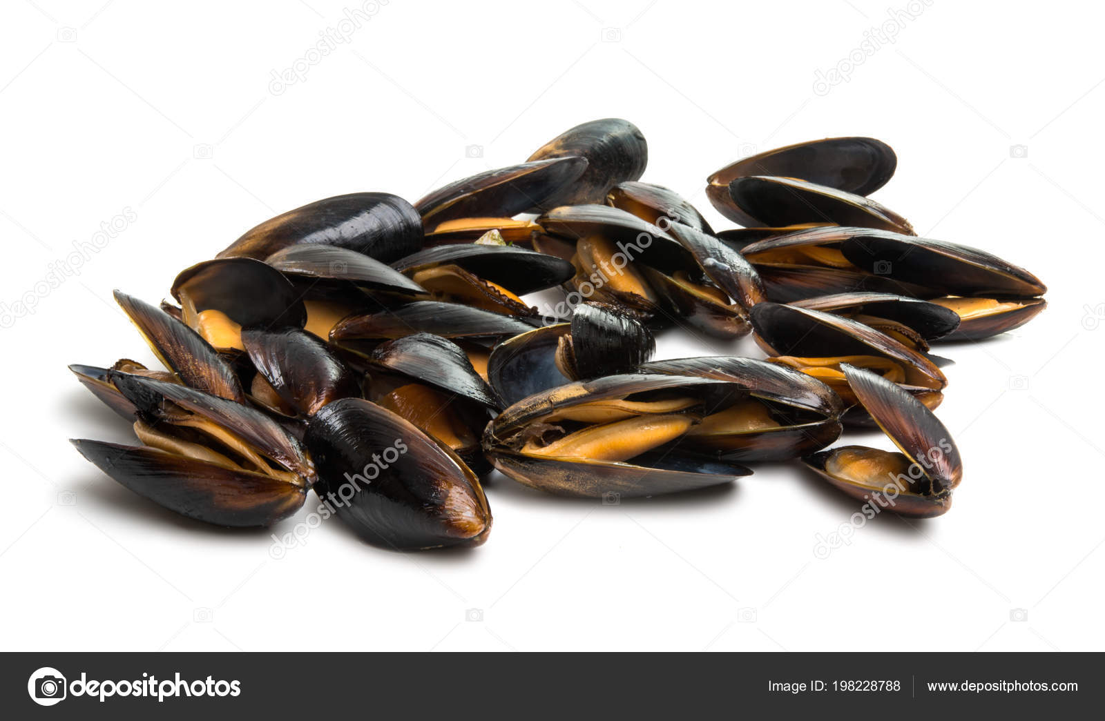 Mussels Isolated White Background — Stock Photo © ksena32 #198228788
