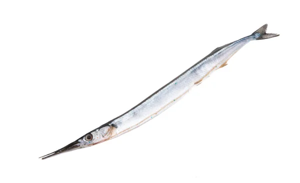Ribbonfish Stock Photos, Royalty Free Ribbonfish Images | Depositphotos