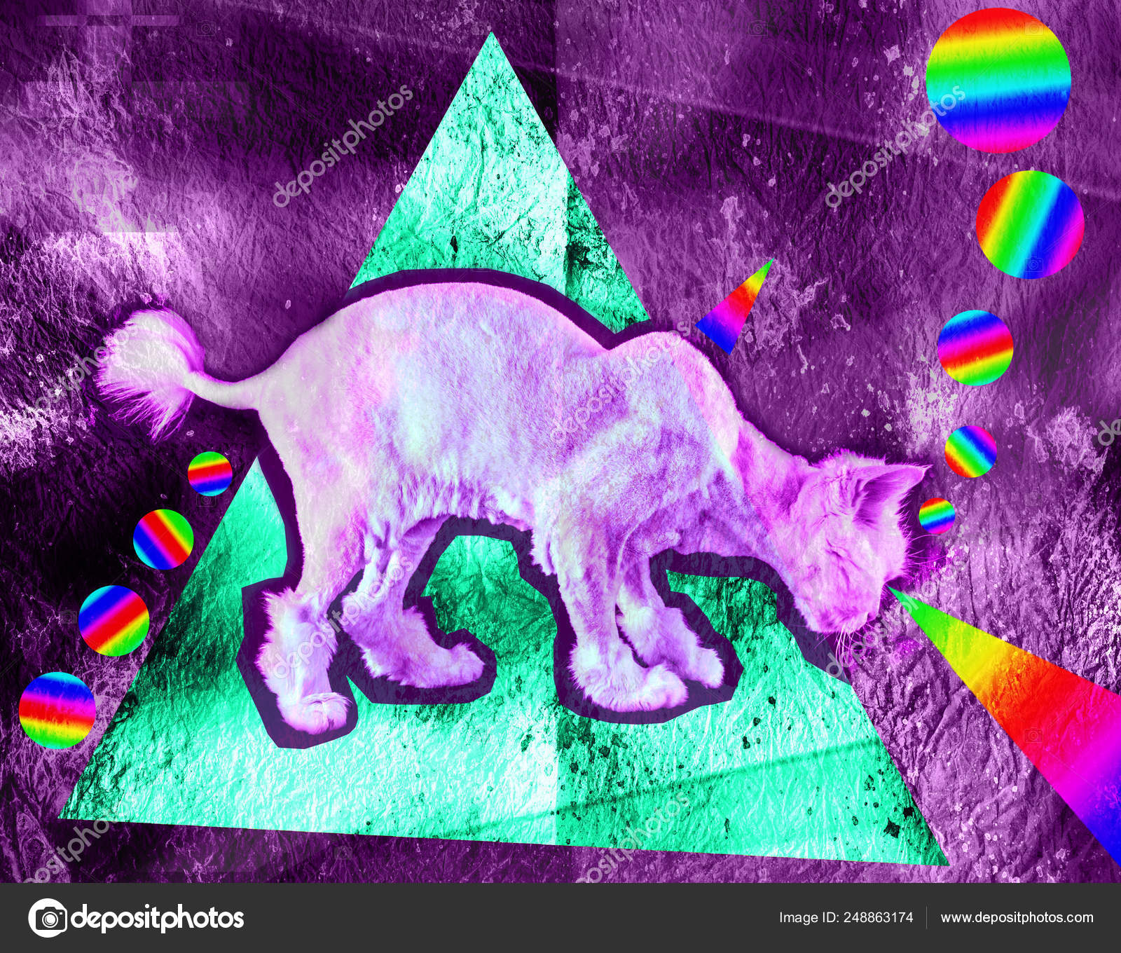 Pink Abstract Cat Eyes